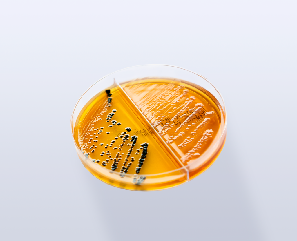 Placa Ágar Salmonella Shigella /Macconkey 90mm – Plastlabor
