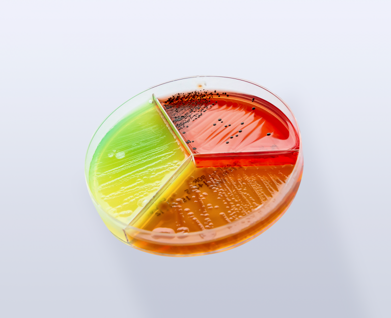 Placa CHROMagar Acinetobacter MDR – 90mm – Plastlabor
