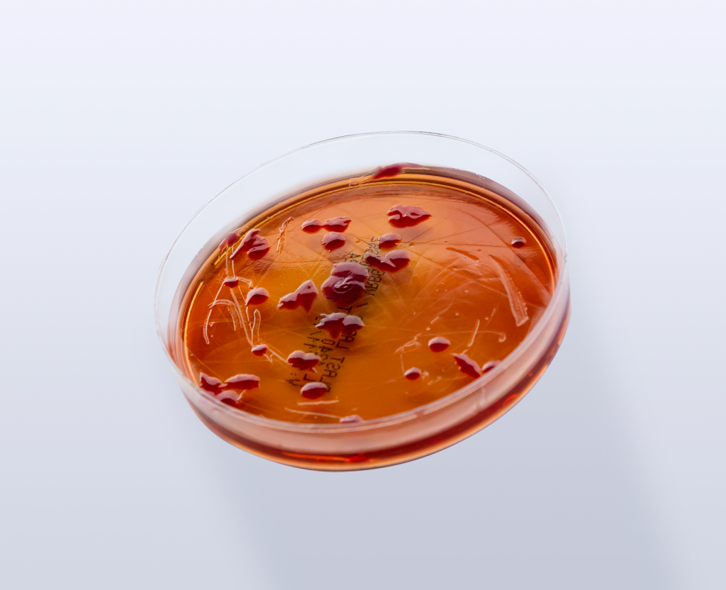 Placa Ágar Violet Red Bile Glucose (VRBG) 90 – Plastlabor