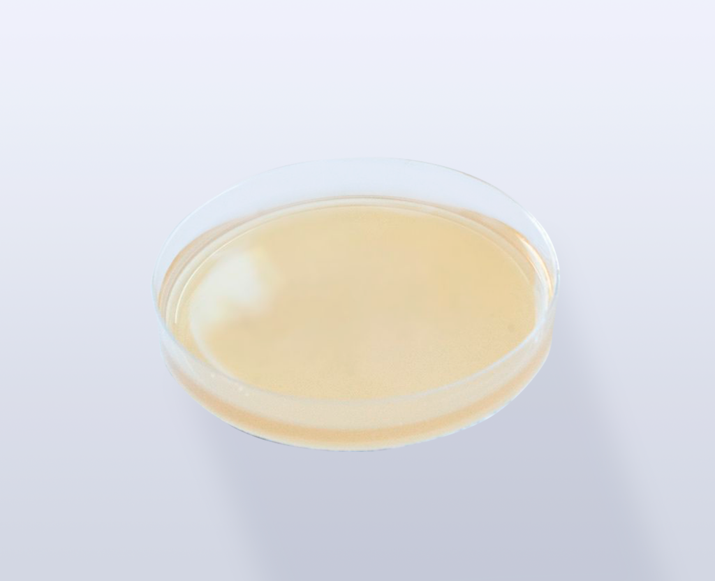 Placa Ágar Mycosel – 90mm – Plastlabor