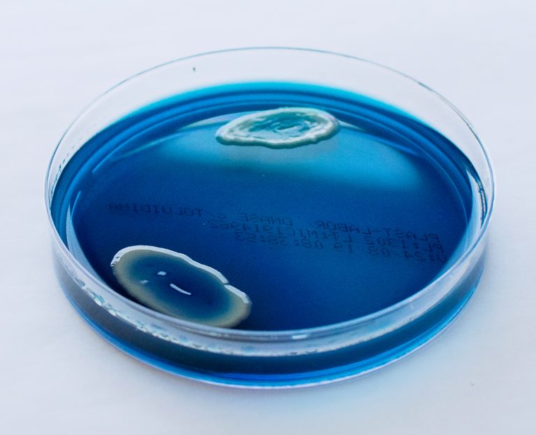 Placa Ágar Salmonella Shigella /Macconkey 90mm – Plastlabor
