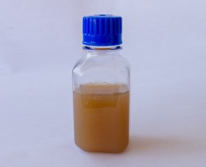 Placa Rodac TSA com Inativante com Penase Irradiada – Plastlabor