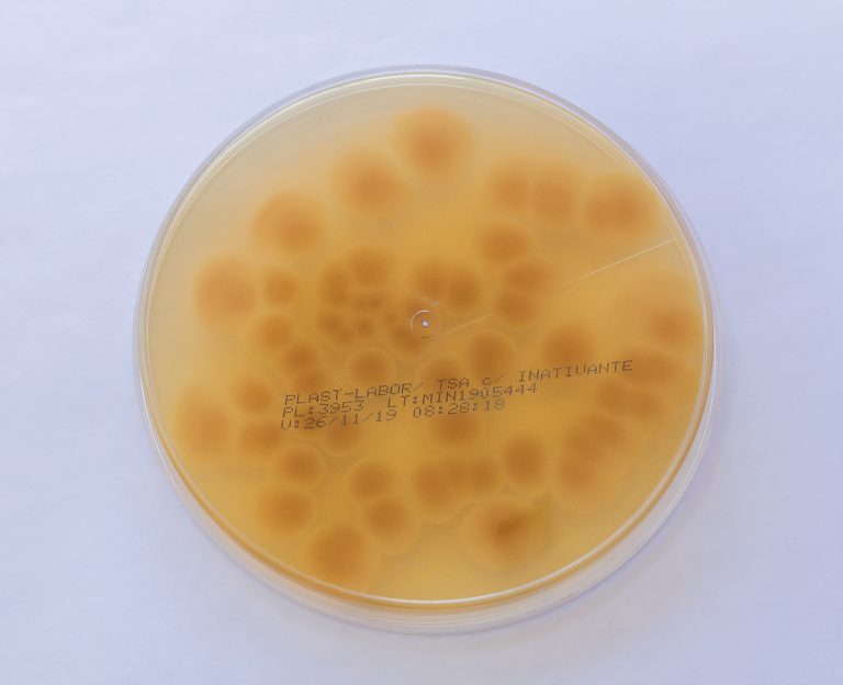 Placa Rodac TSA com Inativante com Penase Irradiada – Plastlabor