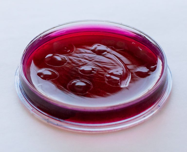 Placa Rodac TSA com Inativante com Penase Irradiada – Plastlabor