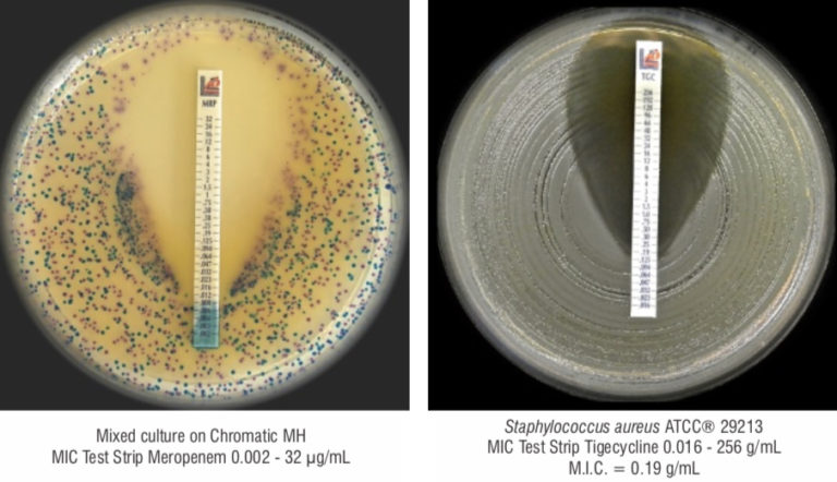 MIC TEST STRIP – Plastlabor
