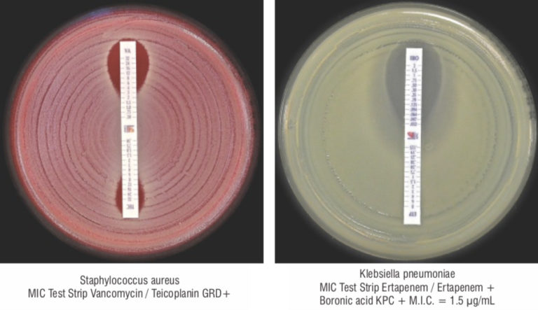 MIC TEST STRIP – Plastlabor