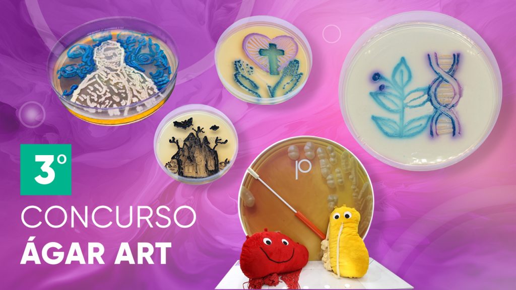 3º Concurso Ágar Art – Plastlabor