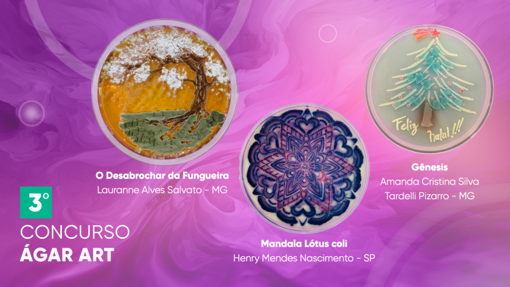 Vencedores do 3º Concurso Ágar Art – Plastlabor