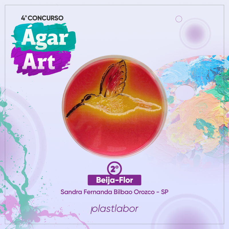 Vencedores do 4º Concurso Ágar Art – Plastlabor